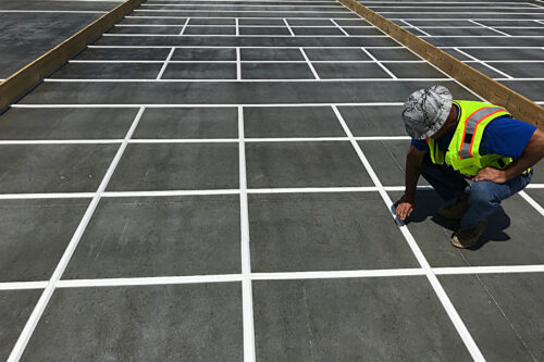 Rustication – VICTORY BEAR